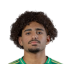 Sabri Dahal - profil hráče 2026