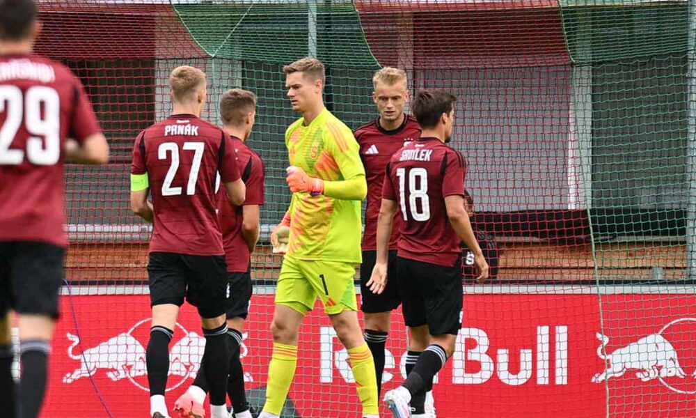 Vindahl před Salzburgem: Máme představu, jak bychom se chtěli ...